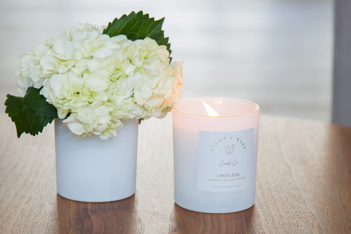 Welcome to Light + Bark Candle Co.