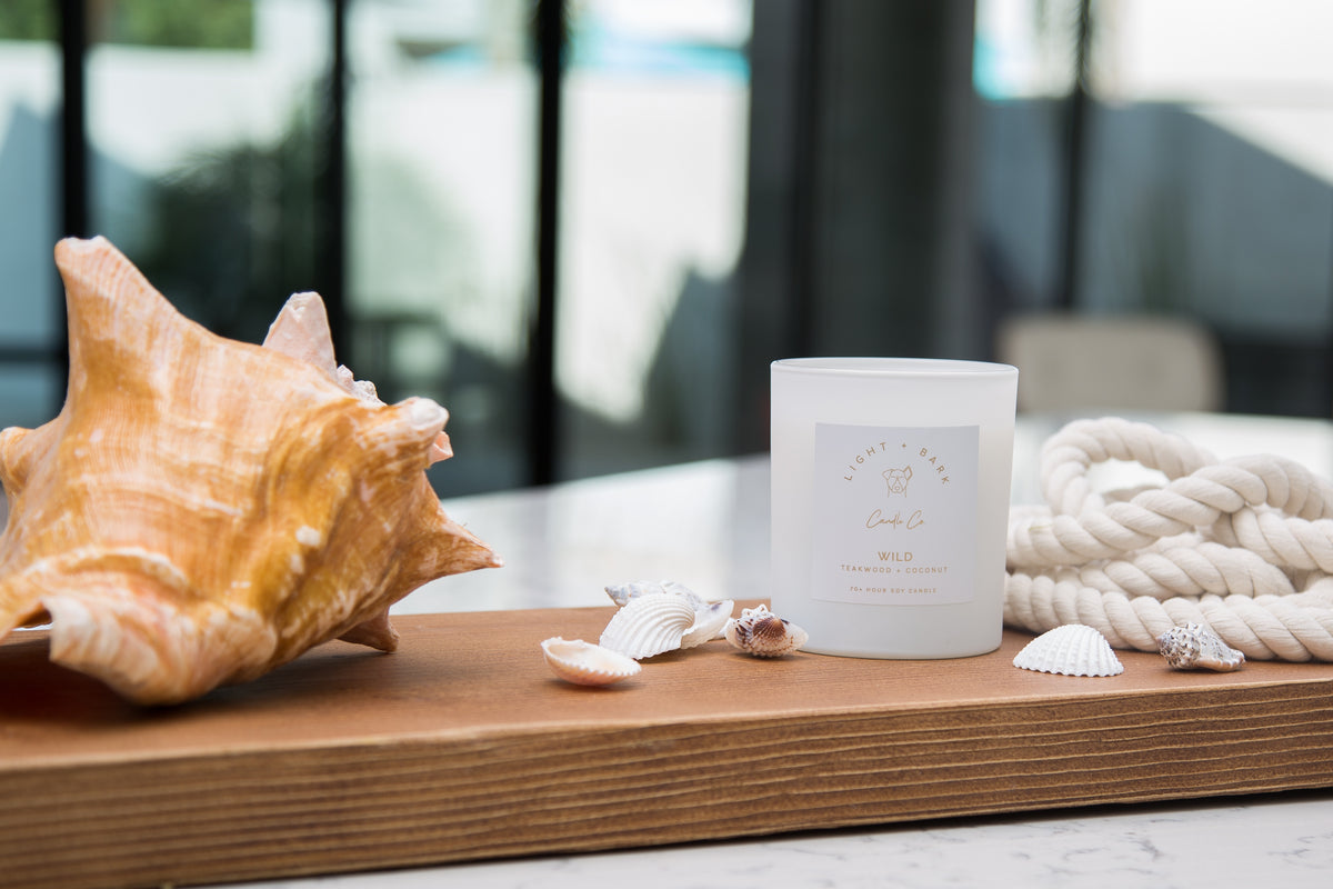 The Signature Collection – Light + Bark Candle Co.