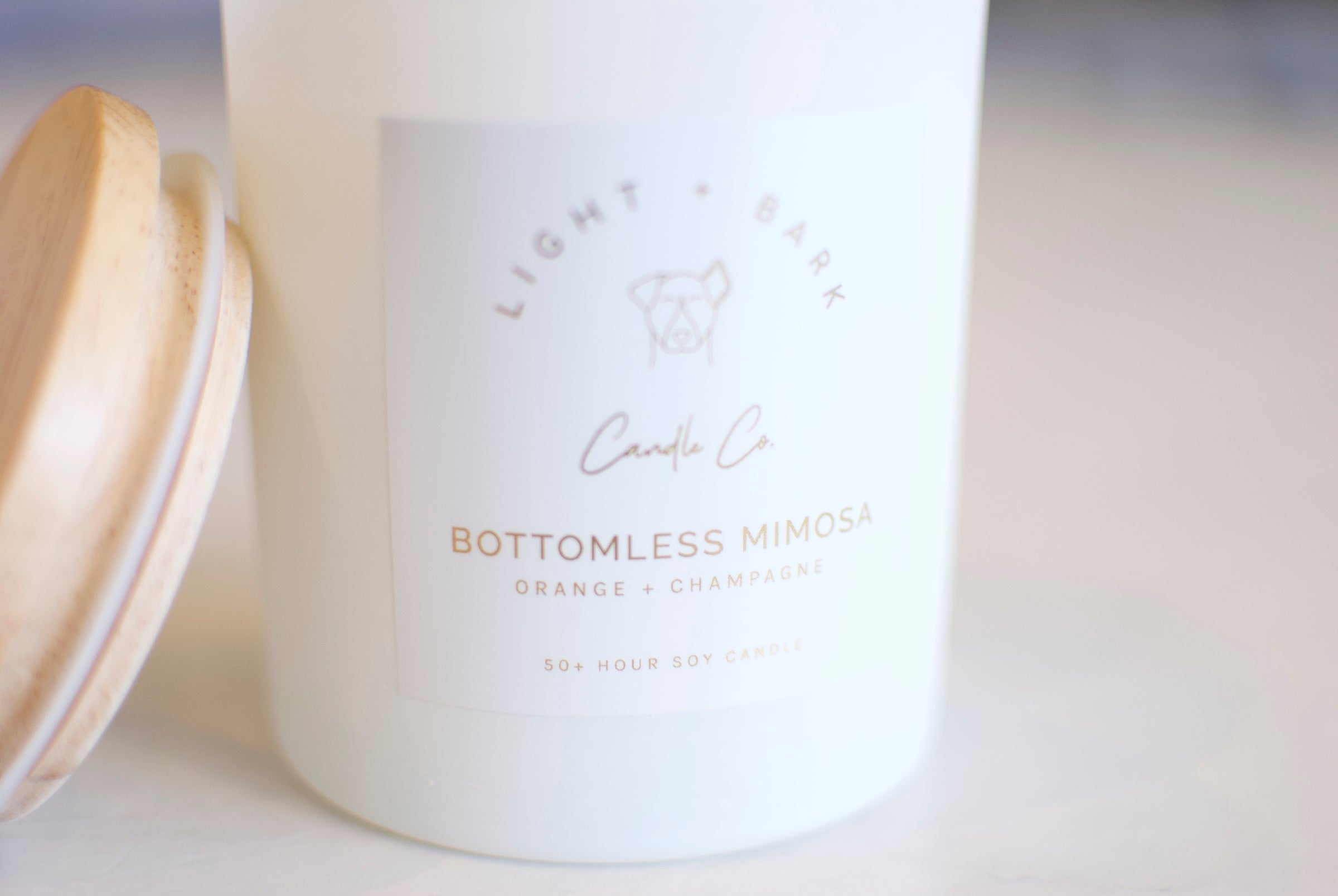 The Signature Collection – Light + Bark Candle Co.